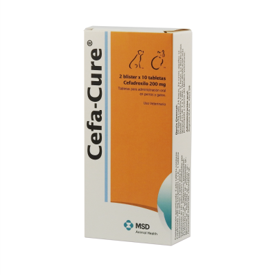 Cefa-Cure®, antibacteriano de MSD Salud Animal en Colombia