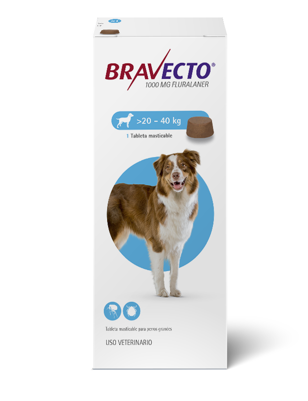 Bravecto para perros - tabletas masticables contra parásitos