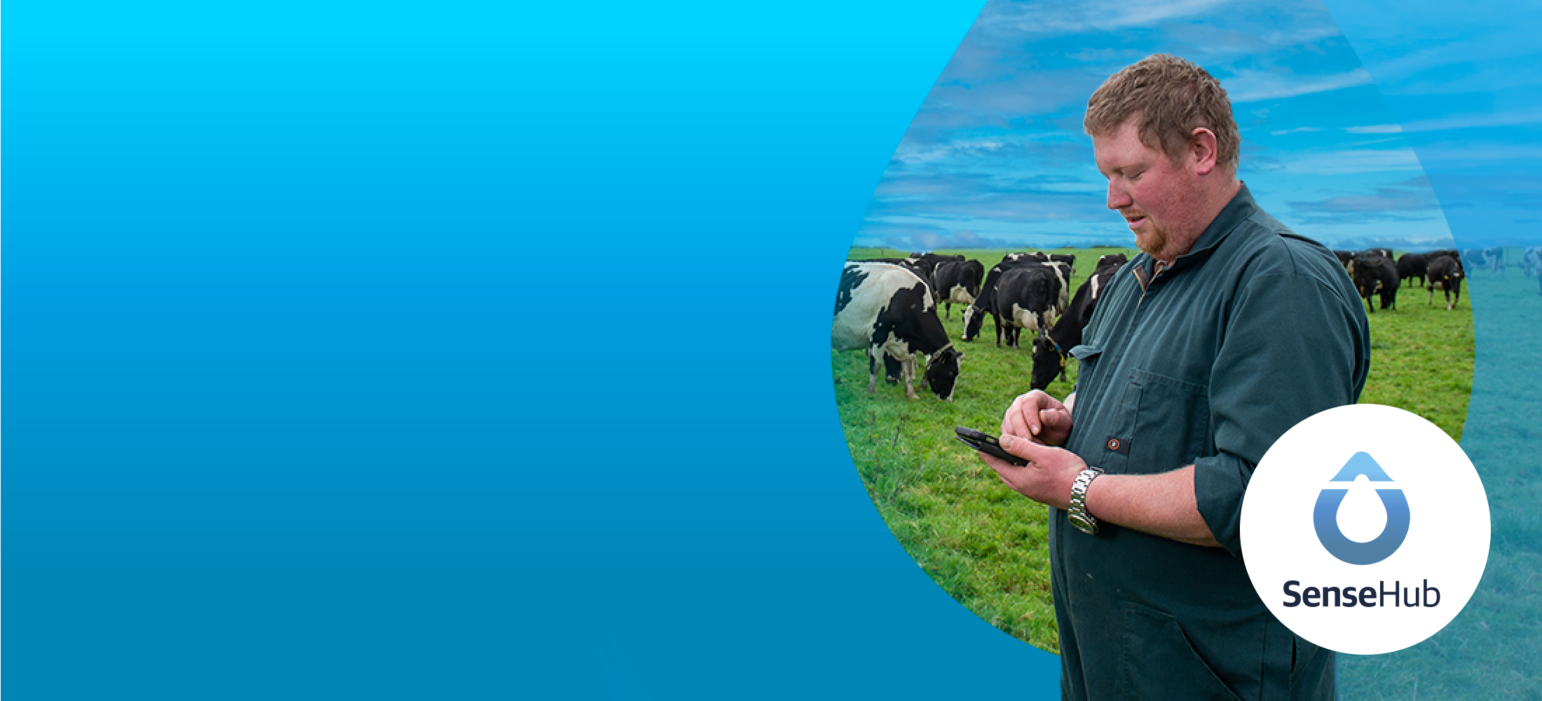 SenseHub - MSD Salud Animal Colombia