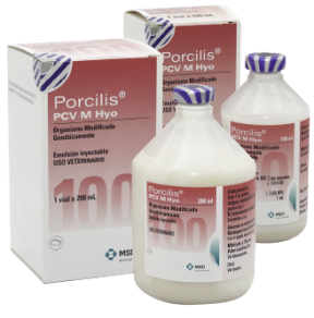 Porcilis PCV MHYO: control de PCV2 y Mycoplasma - MSD Salud Animal Colombia