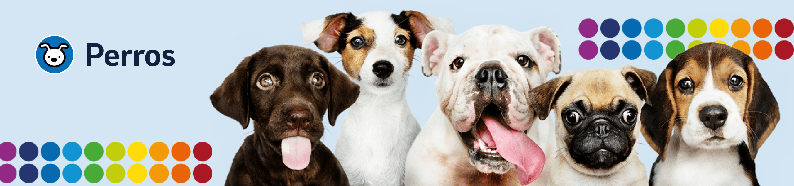 Tos de las perreras (CRIC) - MSD Salud Animal Colombia