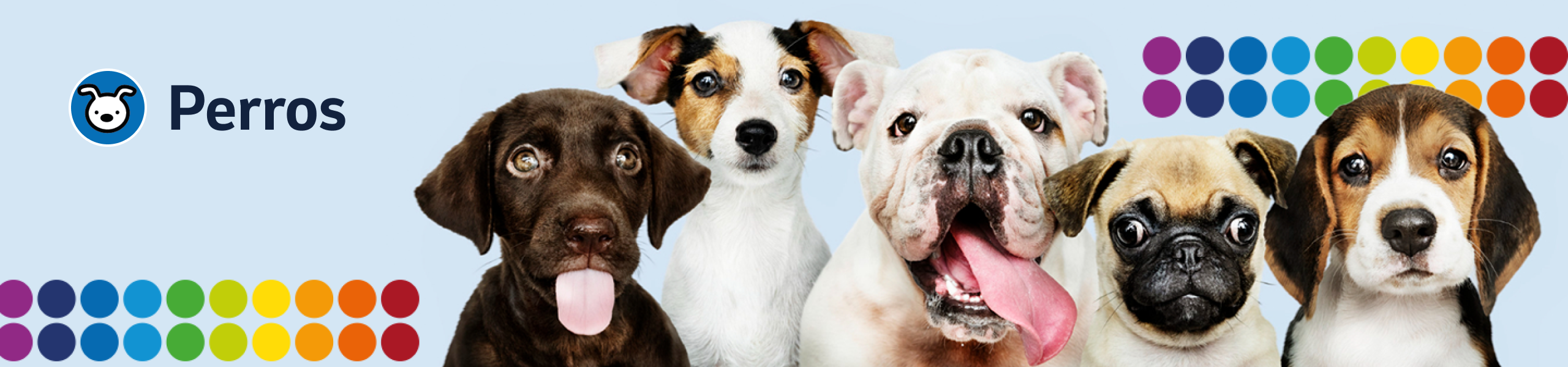 Tos de las perreras (CRIC) - MSD Salud Animal Colombia