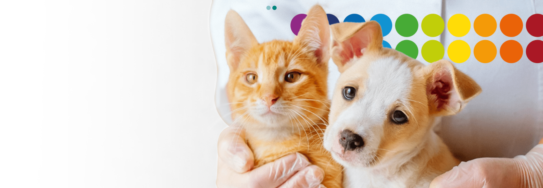 NOBIVAC Y PROCYON - MSD Salud Animal Colombia