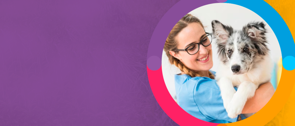 Bravecto veterinarios - perros - MSD Salud Animal Colombia